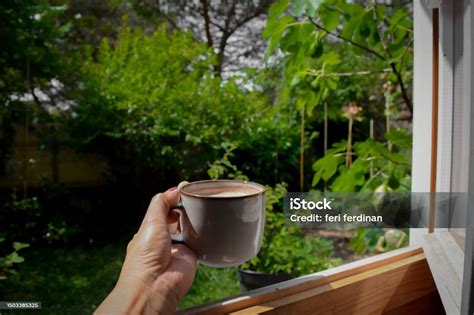 커피 한 잔을 들고 있는 여성의 손에서 바라보는 아침과 바깥이나 정원이 내려다보이는 창가에서 바라본 아침 풍경 나무에 대한 스톡 사진 및 기타 이미지 Istock