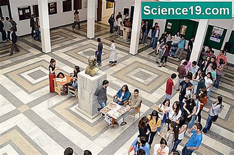 Sürekli Ve Süreksiz Dna Sentezi Arasındaki Fark Nedir 💫 Bilimsel Ve Popüler Multimedya Portalı