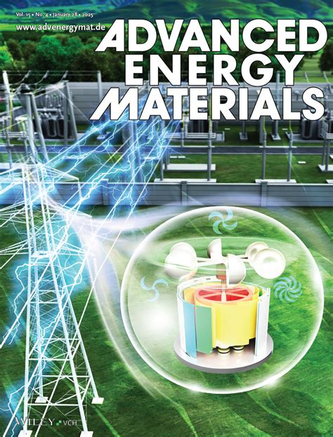 Ceo2‐accelerated Surface Reconstruction Of Cose2 Nanoneedle Forms Active Ceo2 Coooh Interface To