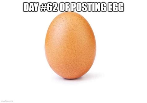 Egg Imgflip