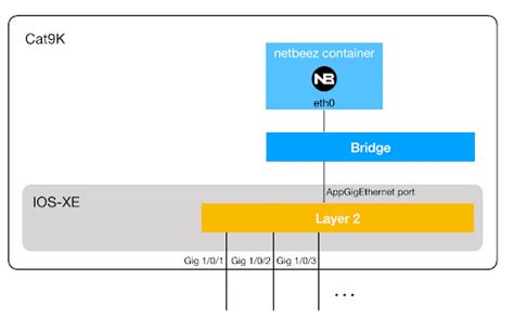 NetBeez Presents At Tech Field Day CLUS