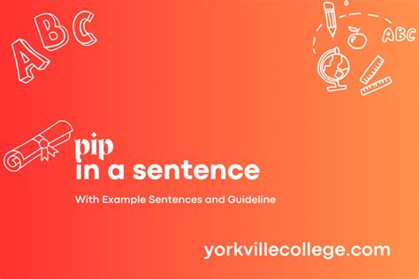 How To Use Pip In A Sentence Easy Examples