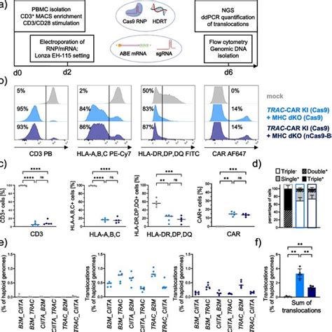 Latest Biased Unbiased Off Target Detection Methods Download Scientific Diagram