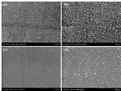 Shows Fe Sem Micrographs Of Tin Coated Ti 30nb Xta Alloy Surface This