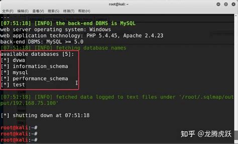 【dvwa实战篇】12分钟学会 Sql 注入攻击实战 知乎