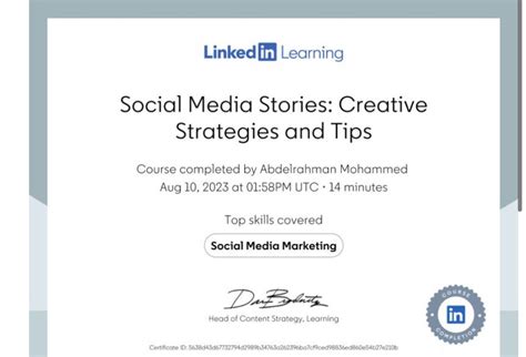 Abdelrahman Mohammed On Linkedin Cibsummerinternship2023 Linkedinlearning