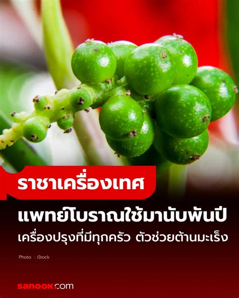 รู้จัก ราชาเครื่องเทศ Sanook สนุกดอทคอม Facebook