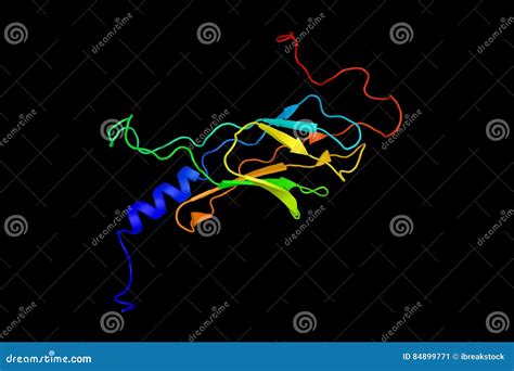 Fibronectin Type Iii Domain Containing Protein 3a Is A Protein T Stock Image Image Of Ba203i16