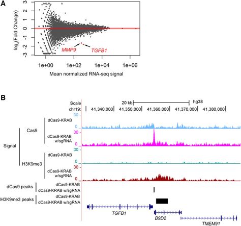 Rna Seq And Chip Seq Indicate That The Crispri Targeting Rs1800469