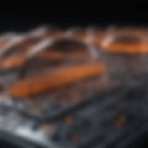 Mastering Reverse Primer Design In Molecular Biology