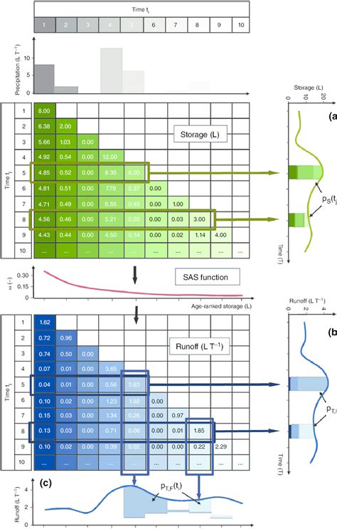 Conceptual And Simplified Illustration Of The Difference Between Download Scientific Diagram