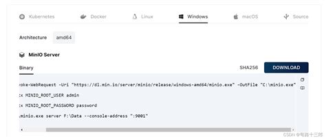 windows环境使用springboot整合minio平替oss csdn博客