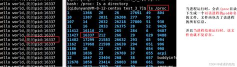 Linux进程理解与学习Ⅰ 腾讯云开发者社区 腾讯云