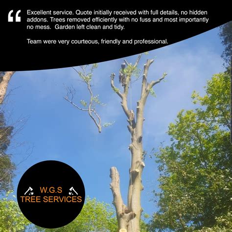 Tree Pruning Southampton Tree Surgeon WGS Tree Services