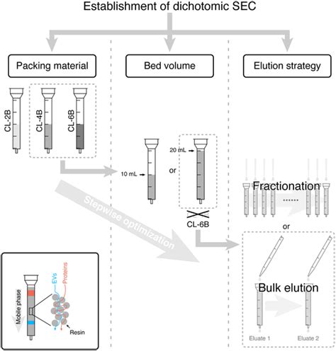 Workflow Of Developing A Simplified Sec Method For Ev Isolation The