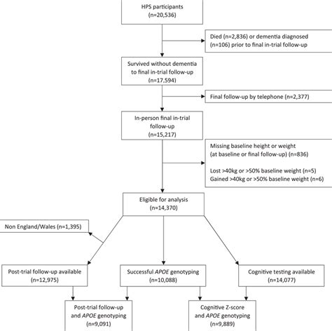 Number Of Participants Included In Analyses Apoe Apolipoprotein E Download Scientific Diagram