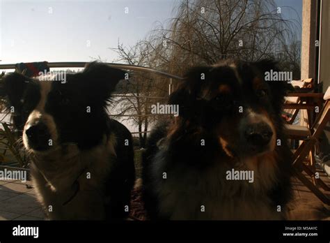 Brother From Another Mother Stock Photo Alamy