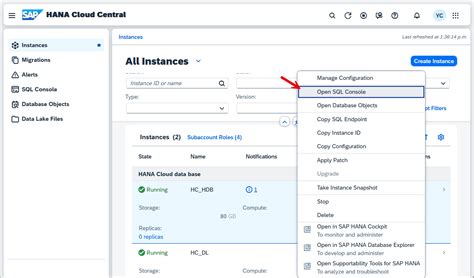 Query Databases Using The Sql Console In Sap Hana Cloud Central Sap Tutorials