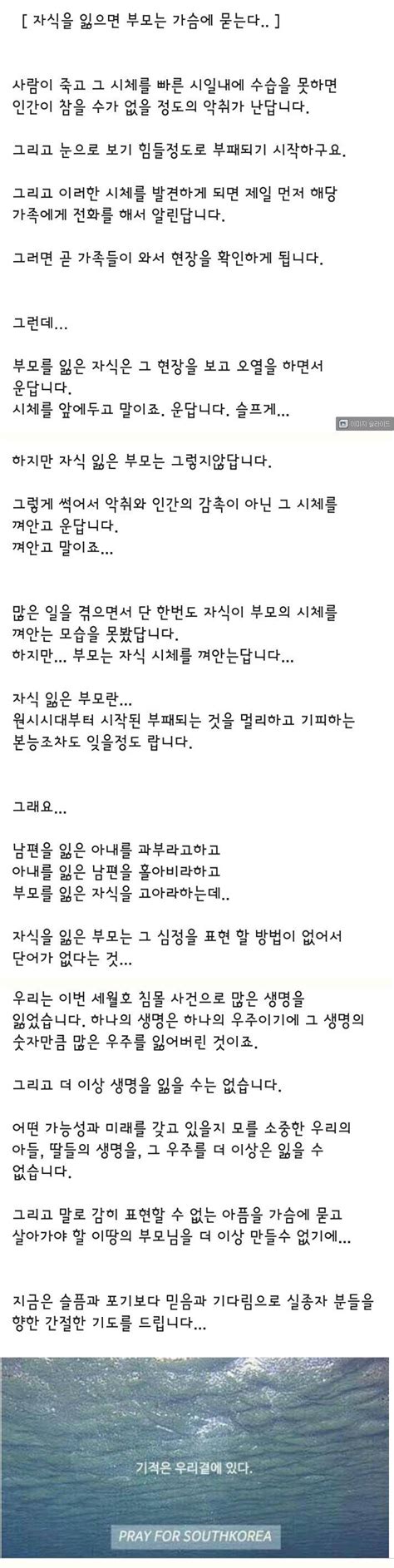 안산 합동분향소에 씌어진 한 어머니의 편지벌써 한달이 되었네요 인스티즈instiz 이슈 카테고리