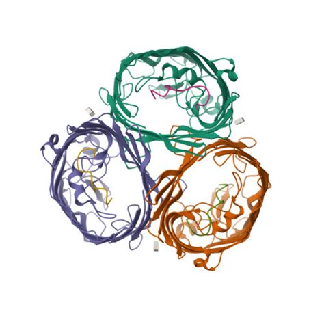 Rcsb Pdb 3o0e Crystal Structure Of Ompf In Complex With Colicin Peptide Obs1