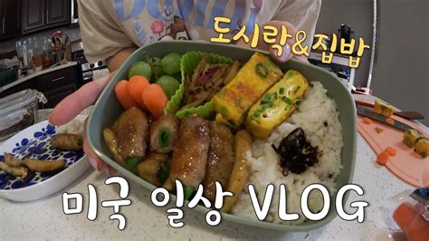 🇺🇸미국일상 Vlog👩🏻‍🍳 미국인남편 도시락 슈가스냅피 고기말이 미국마트 장보기 와플 만들기 마약계란 국제커플 미국 집밥 브이로그 Youtube