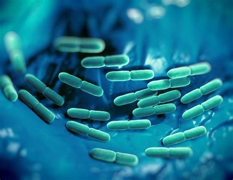 Institute For Precision Medicine On Linkedin Personalized Medicine