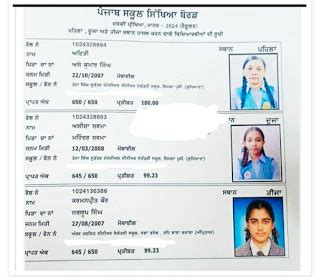 Pseb 10th Result 2024 Link Merit List Of Babes