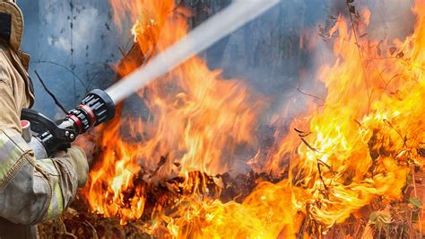 How Coda Sensor Can Help Prevent Forest Fires？