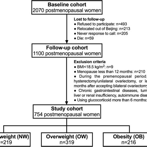 Flow Chart Nw 18 5 Kg M² ≤ Bmi Download Scientific Diagram
