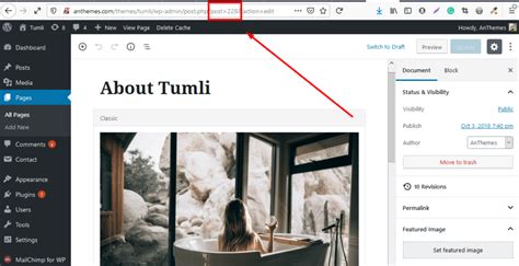 WordPress Page ID And Where To Find It