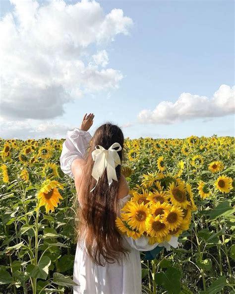 Pin De Tukez Alizadeh En Gırls Fotos Girasoles Campo De Girasoles