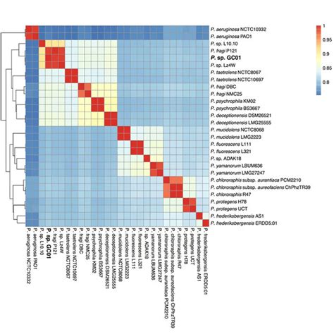 Heatmap Displaying The Relationships Hierarchical Clustering Between