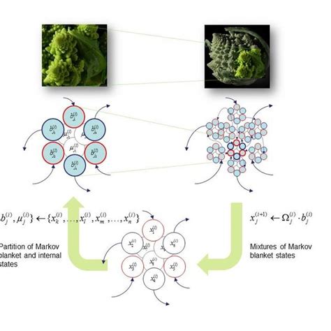 Nested Markov Blankets This Schematic Illustrates The Hierarchical