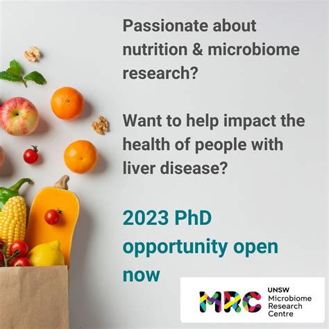 Dr Fatima El Assaad On Linkedin We Are Looking For An Enthusiastic Phd