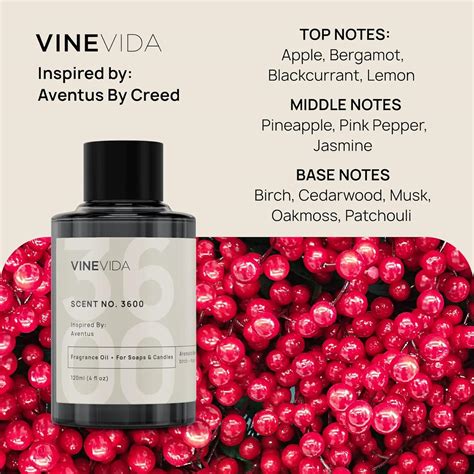 Vinevida Reed Diffuser For Home And Bathroom Long Lasting Scent Sticks