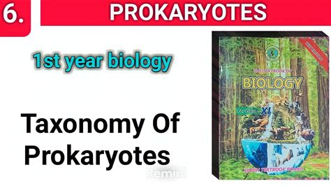 Prokaryotes Taxonomy Of Prokaryotes Youtube
