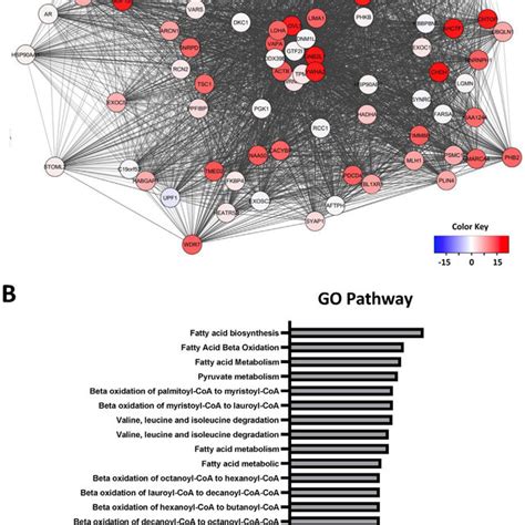 Interactome Of Ar A Ar Interaction Network Of The C4 2 Crpc Cell