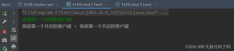 Java【网络编程2】使用 Tcp 的 Socket Api 实现客户端服务器通信保姆级教学 附代码java Tcp客户端 Csdn博客