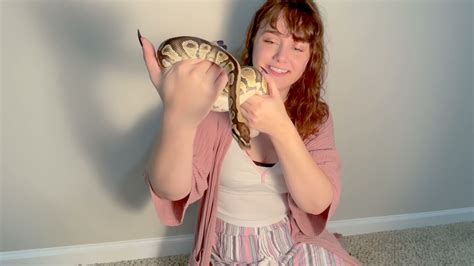 Asmr With Daisy The Python Unusual Sounds Whisper Chat Youtube