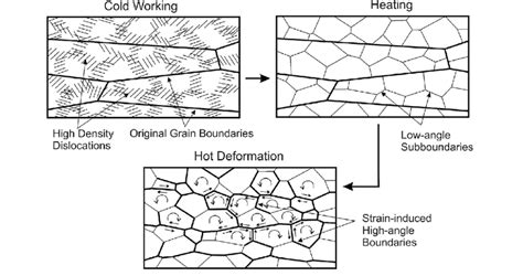 Schematic Illustration Of Ufg Development During Hot Deformation Of Download Scientific Diagram