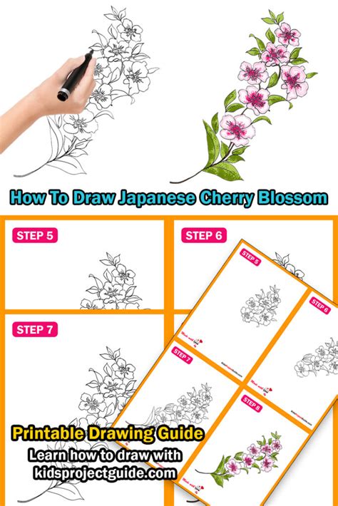 How To Draw A Girl Under Cherry Blossom Tree Easy To Draw Japanese