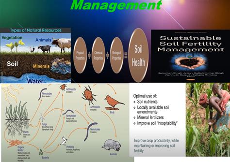 Soil Fertilization And Sustainable Production Researchgate