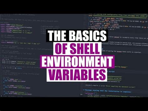 How To Use Shell Environment Variables - YouTube