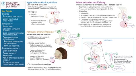 Clinical Pathology Ovulatory Dysfunction Pcos And Poi Ditki Medical And Biological Sciences