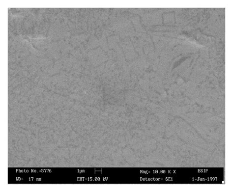 Sem Micrographs Of Glass Ceramic Samples A Btl00916t B