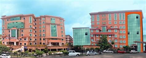 Little Flower Eye Hospital Angamaly Contact Number Best Flower Site