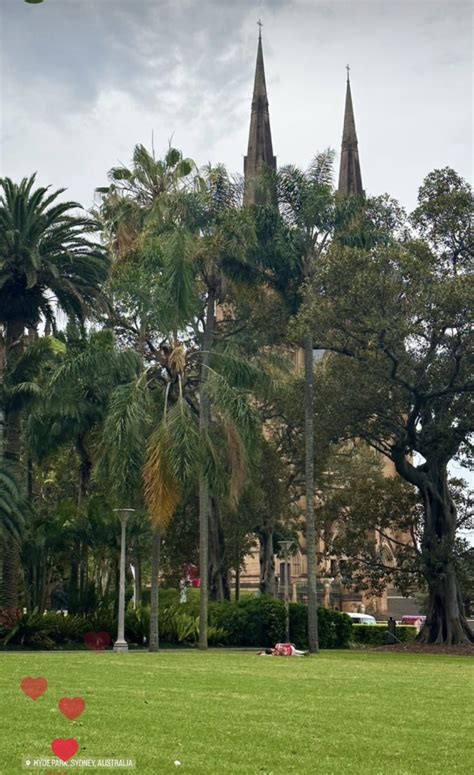 7박 9일 시드니여행 Ep 5 벌써 Ep 5라늬💛💛💛 Theeca 하이드파크 세인트메리대성당 시드니주립미술관 엘리먼츠 바 앤 그릴 네이버 블로그