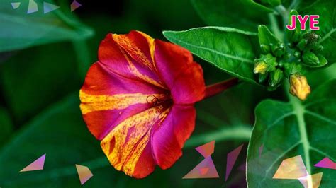 문근영 난 아직 사랑을 몰라 Youtube