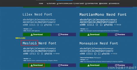 windows terminal 命令行美化（vscode命令行适用） 保姆级教程 windows terminal美化 csdn博客