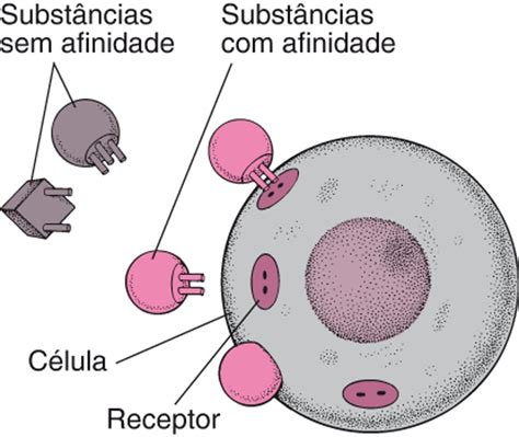 Imageum Encaixe Perfeito Manual Msd Versão Saúde Para A Família